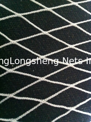 Quality Monofilament Fishing Nets & HDPE Fishing Nets factory from China